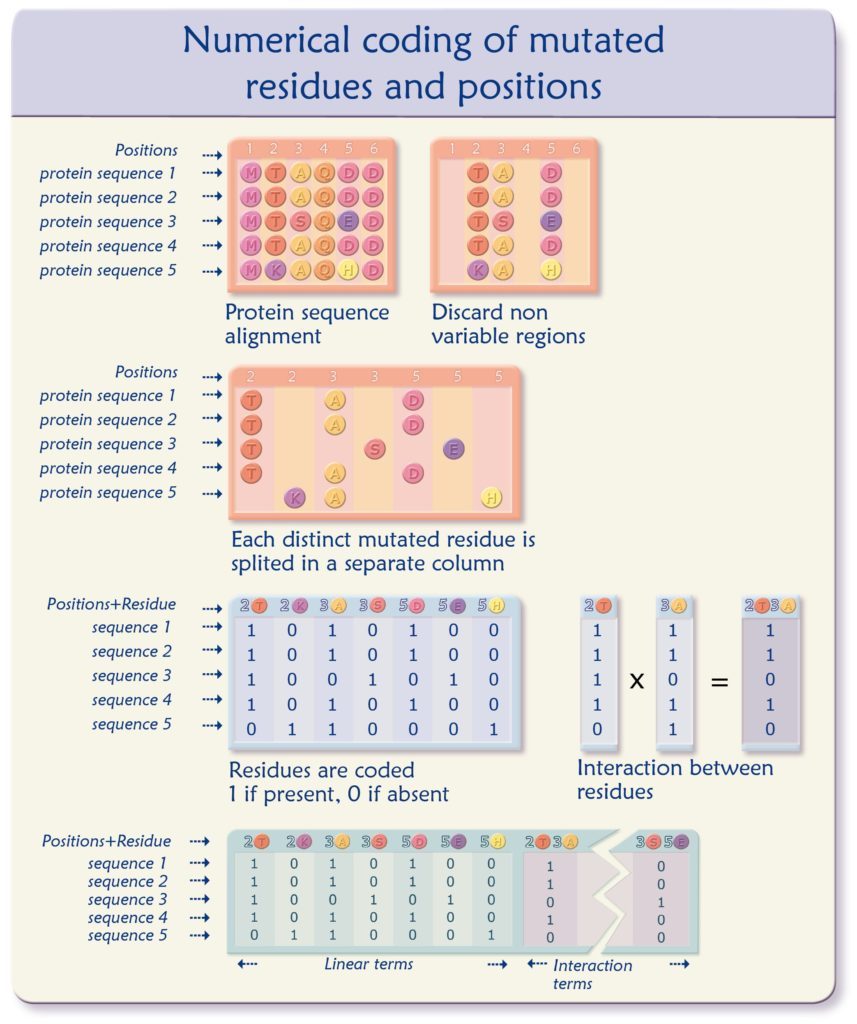 Numerical coding – Édouard Dullin